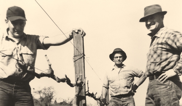 러시안 리버 밸리 피노누아 와인의 선구자, '조 로키올리 주니어' 88세 나이로 별세