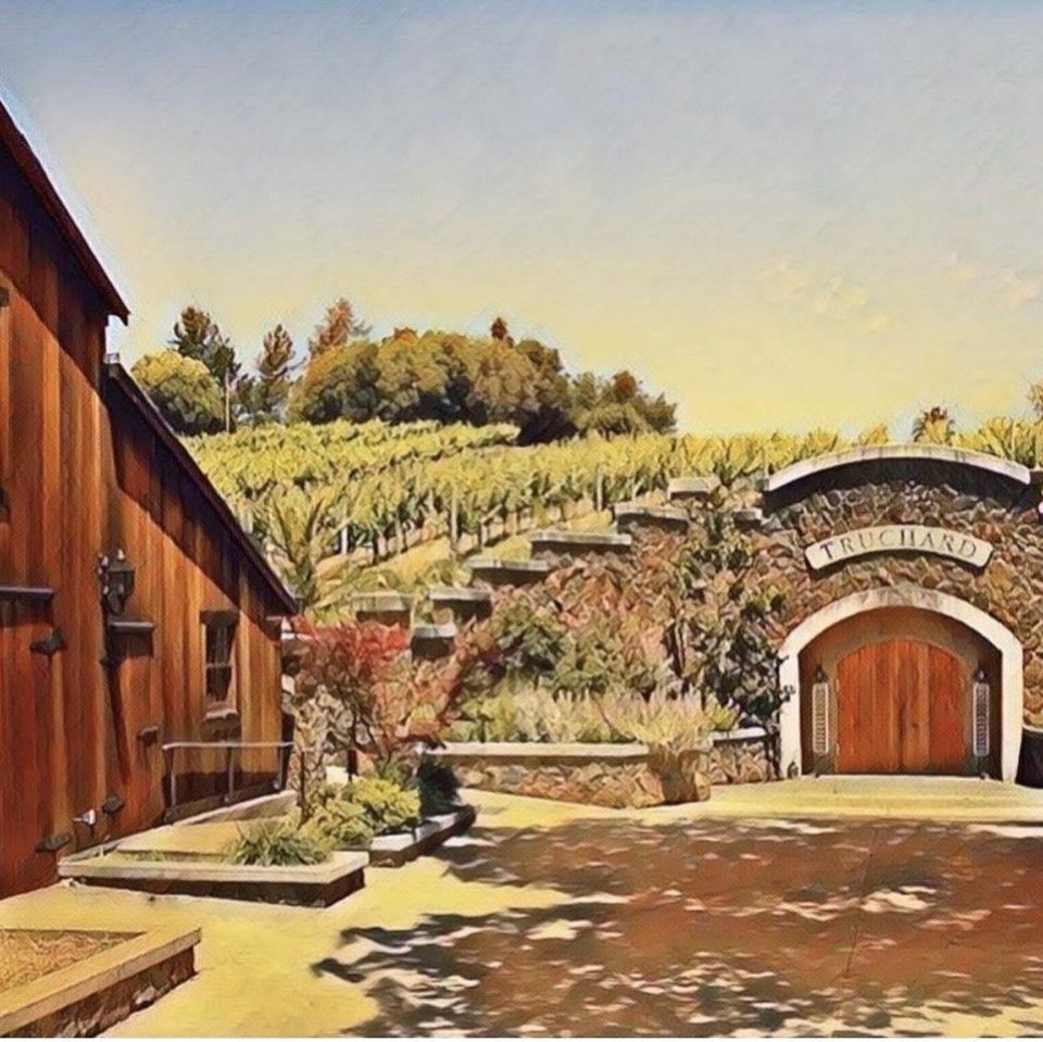 “백악관 만찬주” 트루차드 빈야드, 와인메이커 '앤서니 엠 트루차드 II' 방한 기념 디너 성황리에 마무리