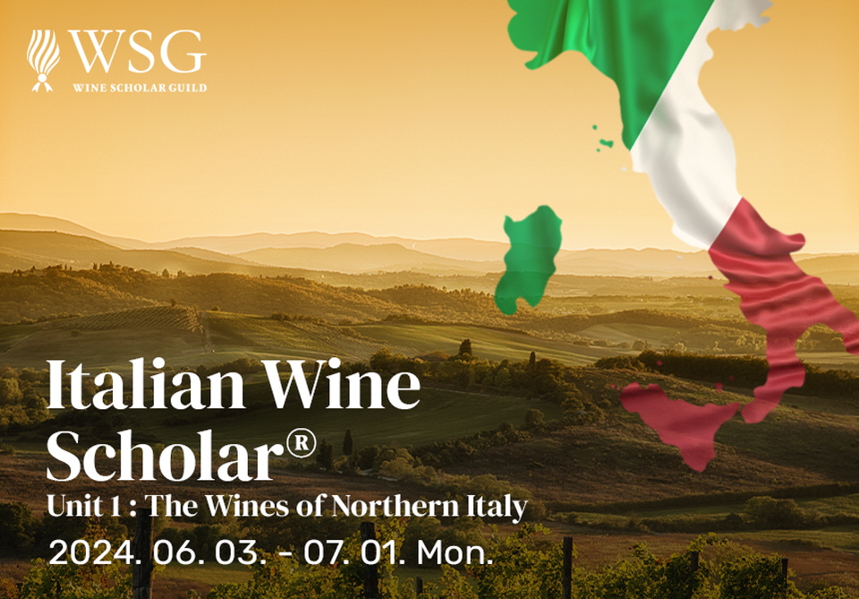 WSA와인아카데미, ‘이탈리아 와인 전문가 인증 과정(IWS)’ 개설