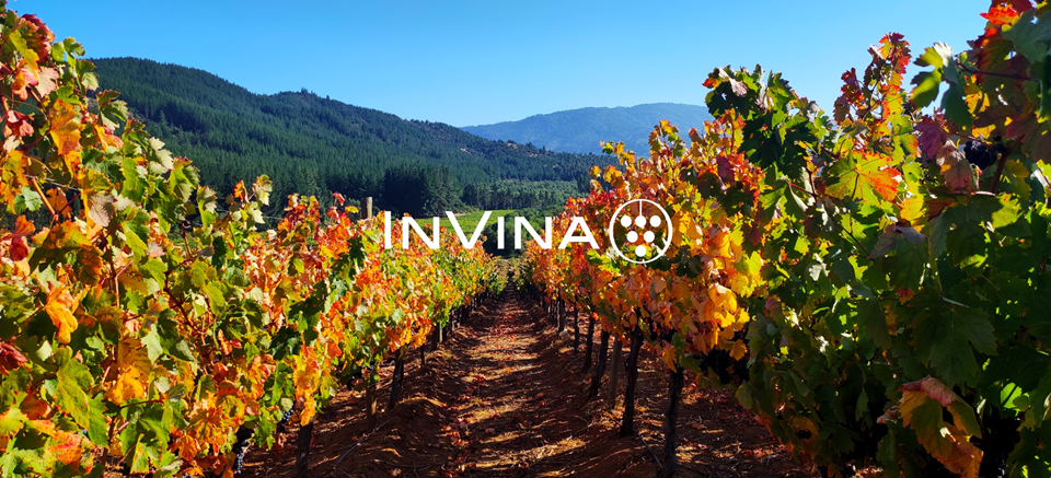 "4년 연속 KWC 칠레 와이너리 중 1위" 인비나(Invina), 베스트 칠레 수상 와인 2종 출시