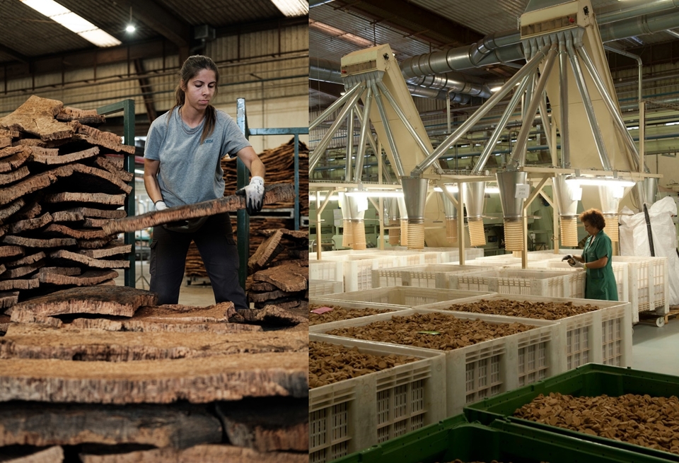 [Interview] “Everything About Wine Corks” Inside Amorim Cork, the World ...