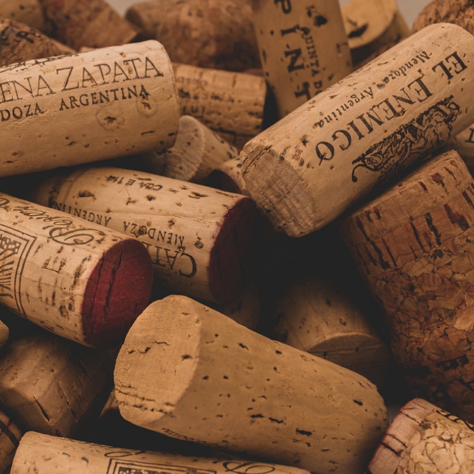 [Interview] “Everything About Wine Corks” Inside Amorim Cork, the World ...